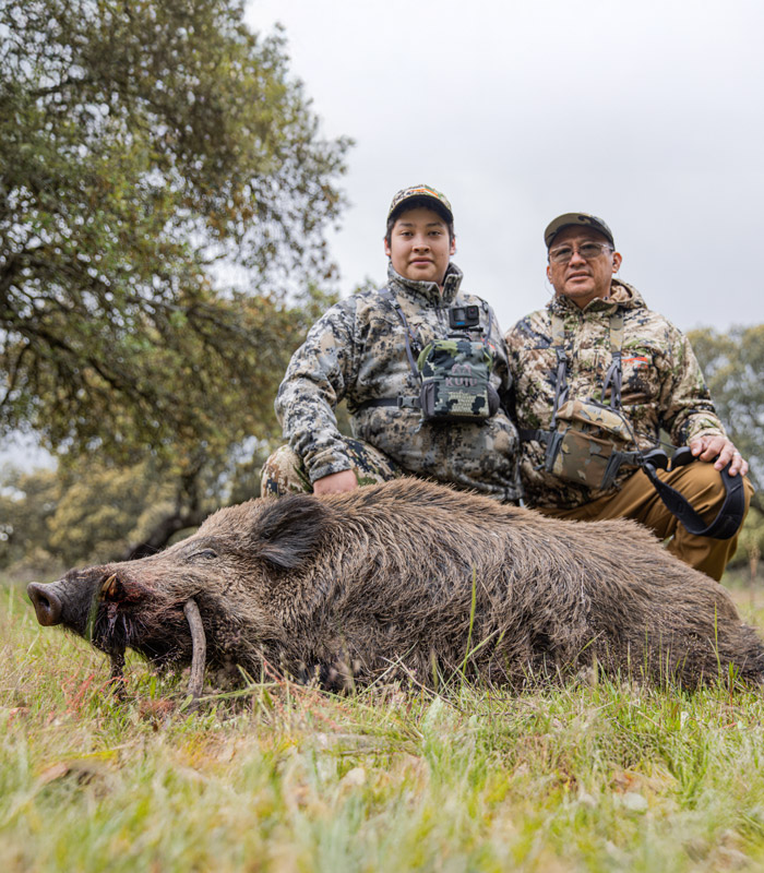 Wild boar hunting in Spain | Prices 2025